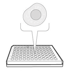 Step-by-step guide to ELISpot | Mabtech