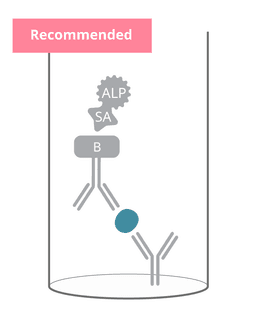 Step-by-step guide to ELISpot | Mabtech