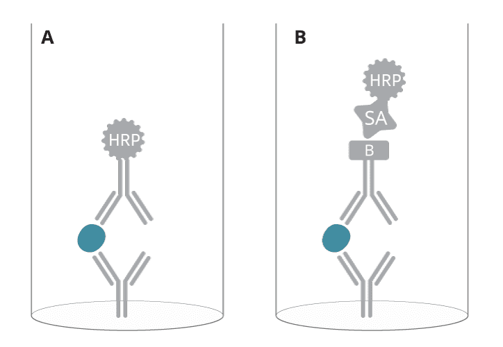 Step-by-step guide to ELISA | Mabtech