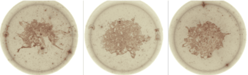 7 common ELISpot errors and how to avoid them | Mabtech