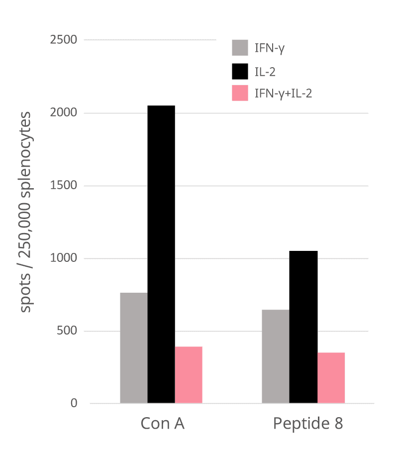Technote: Measuring amount of secreted analyte (RSV) | Mabtech