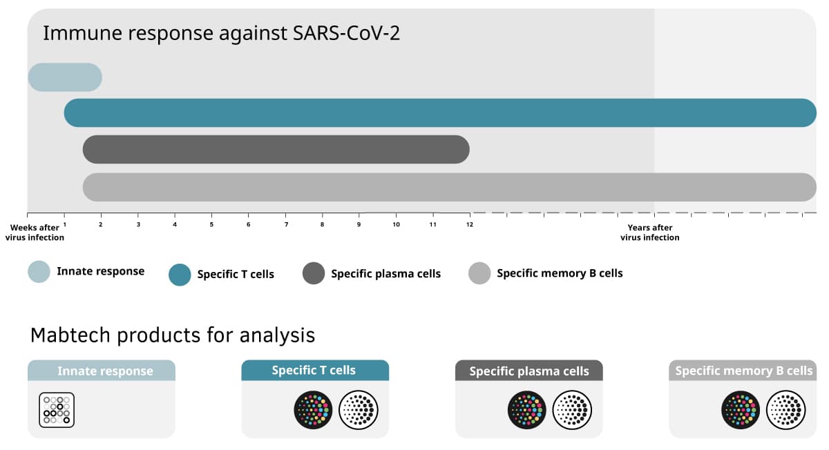 Immunoassays for vaccine research | Mabtech