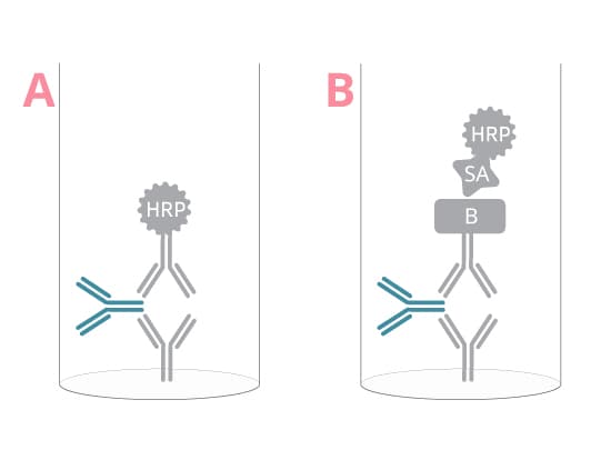 How to detect immunoglobulins with ELISA | Mabtech