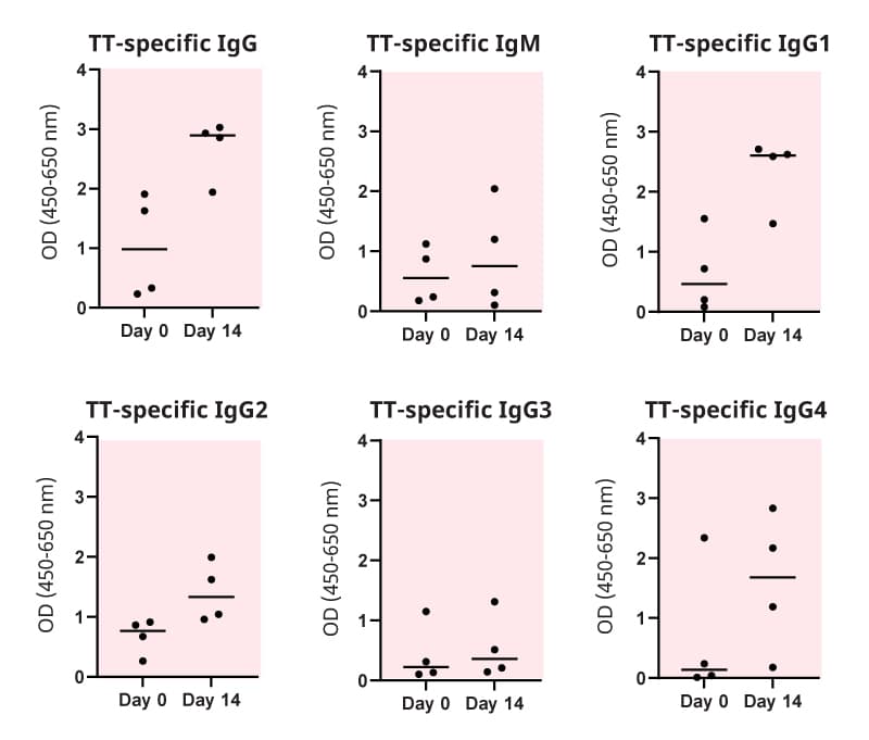 How to detect immunoglobulins with ELISA | Mabtech