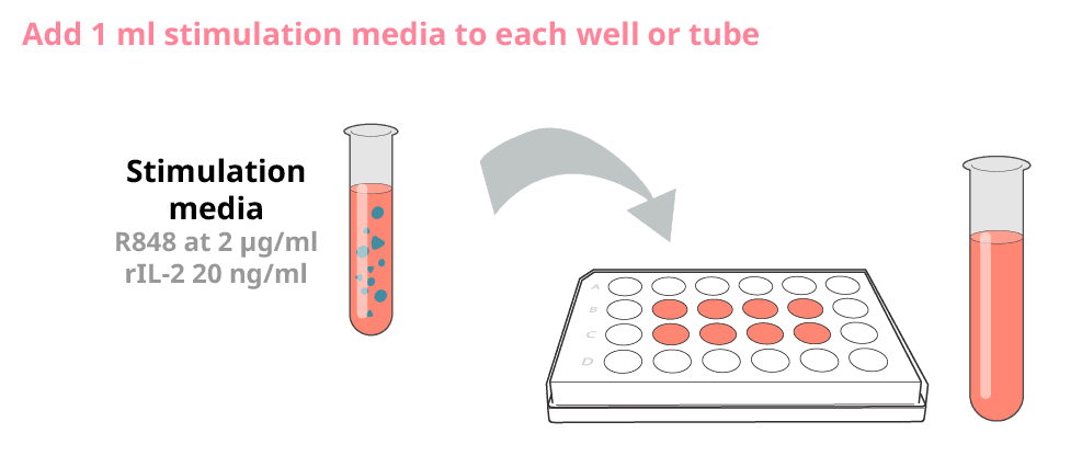 Step-by-step Memory B cell stimulation | Mabtech