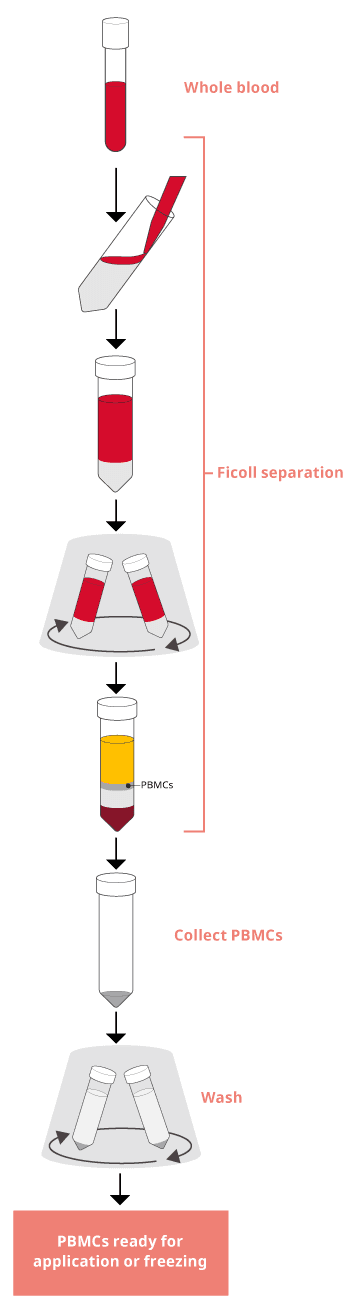 Isolation, freezing, and thawing of PBMCs | Mabtech
