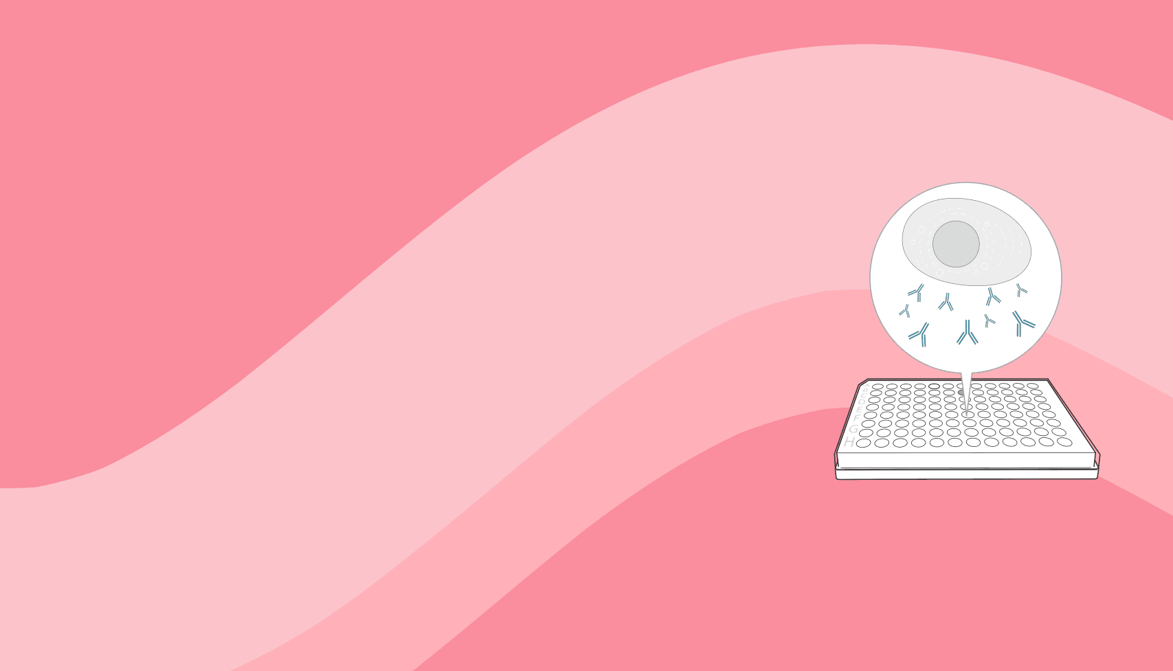 B cell profiling with ELISpot and FluoroSpot | Mabtech