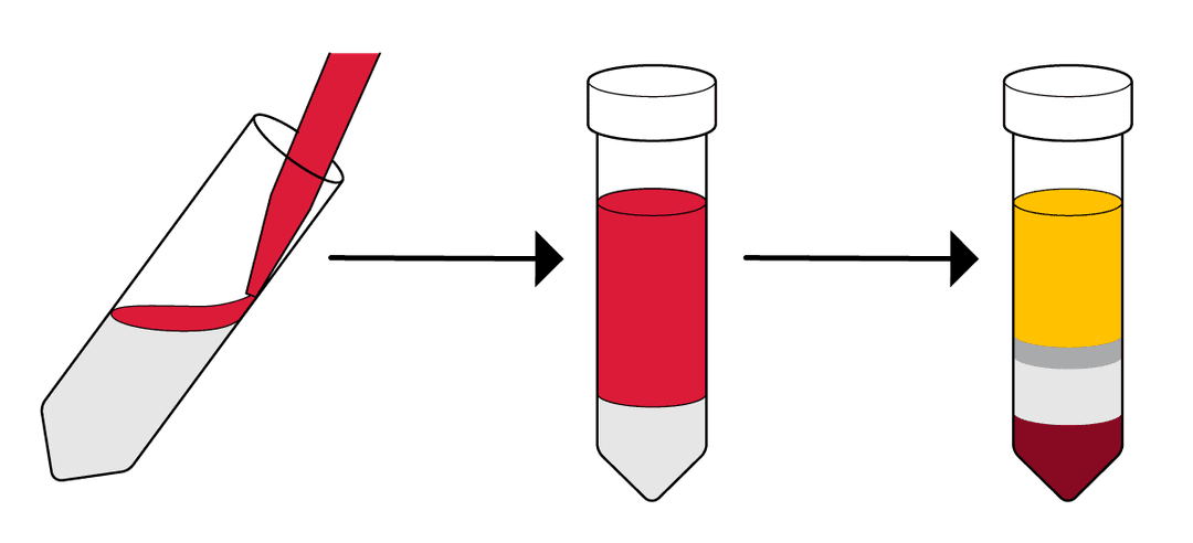 Isolation, freezing, and thawing of PBMCs | Mabtech