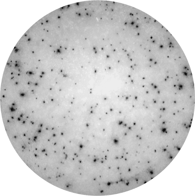 Introducing Mabtech IRIS 2 | Mabtech