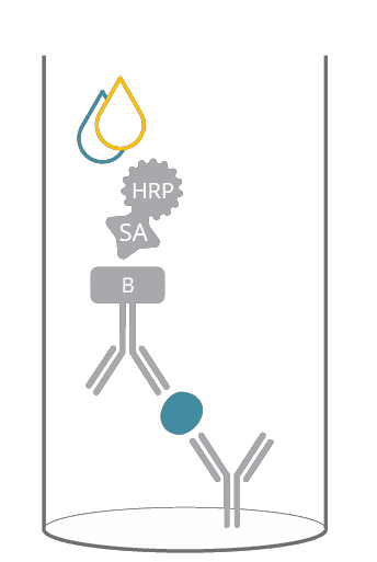 Our ELISA products | Mabtech