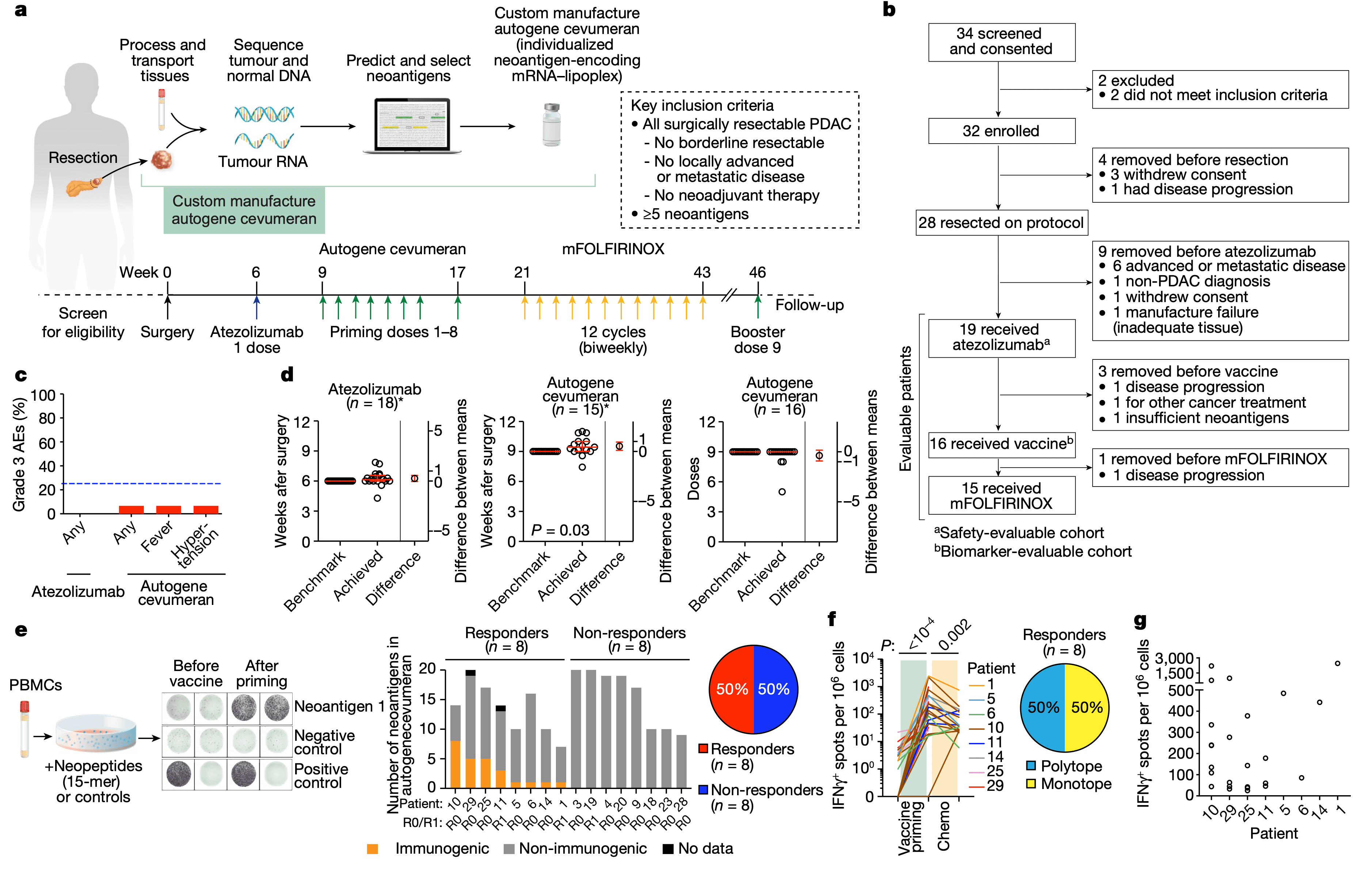 Using ELISpot to evaluate personalized RNA neoantigen vaccines in pancreatic cancer | Mabtech