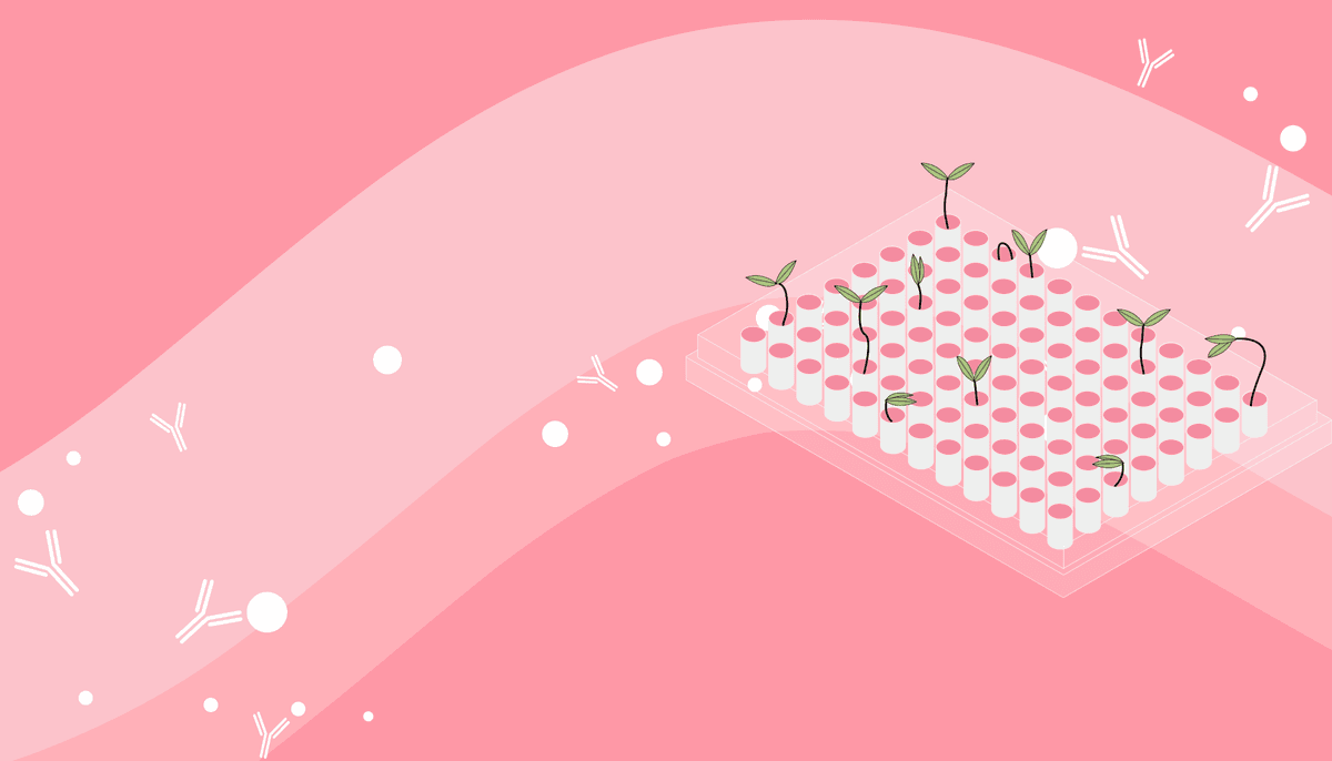 Cell stimulation in ELISpot and FluoroSpot | Mabtech