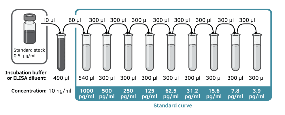 11 tips for your first ELISA | Mabtech