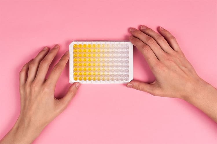 ELISA Flex: Monkey IgA (HRP) - Mabtech | Mabtech