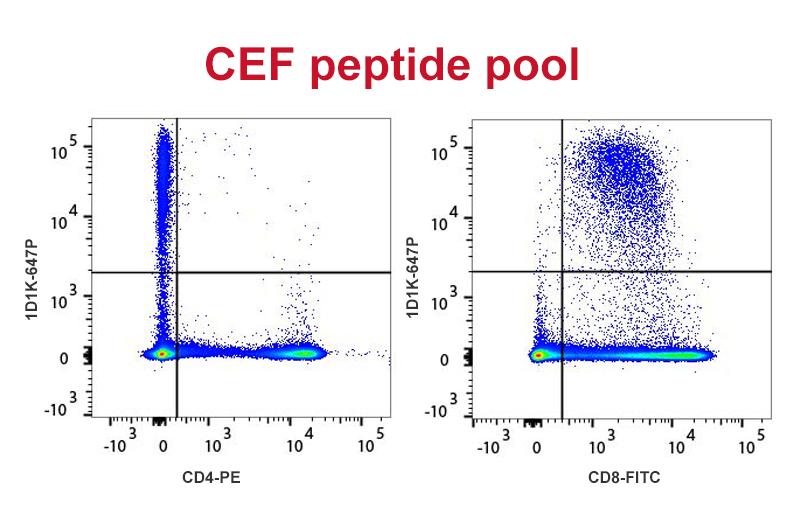 PepPool: CEF (CD8), human (3616-1) - Mabtech - 2BScientific