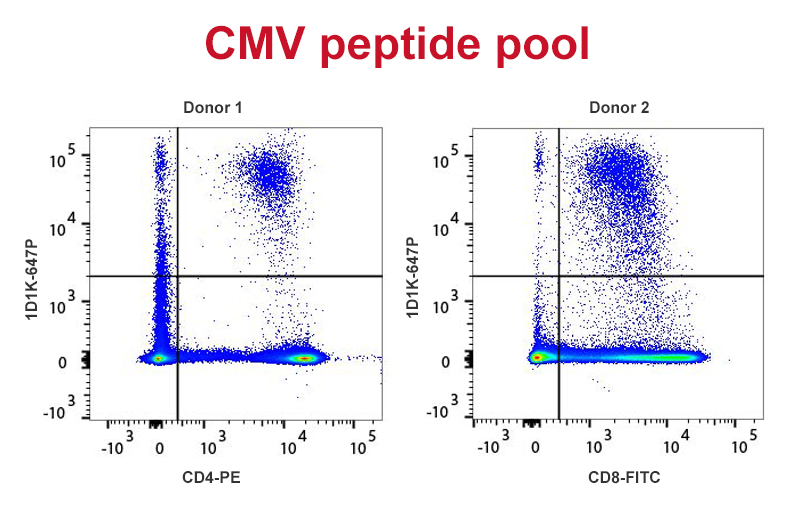 PepPool: CMV (CD4 and CD8), human (3619-1) - Mabtech - 2BScientific